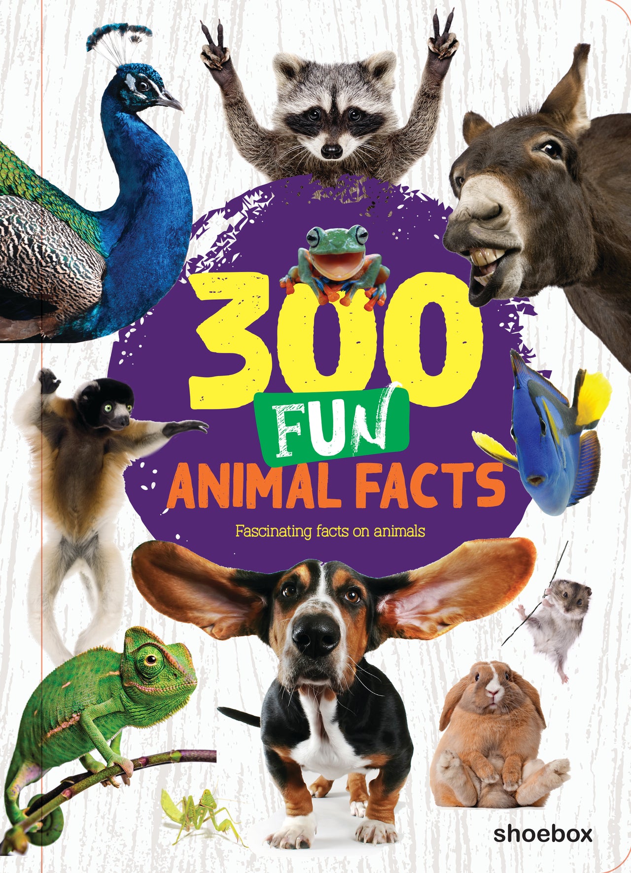 Shoebox, Educational Children's Book Publisher